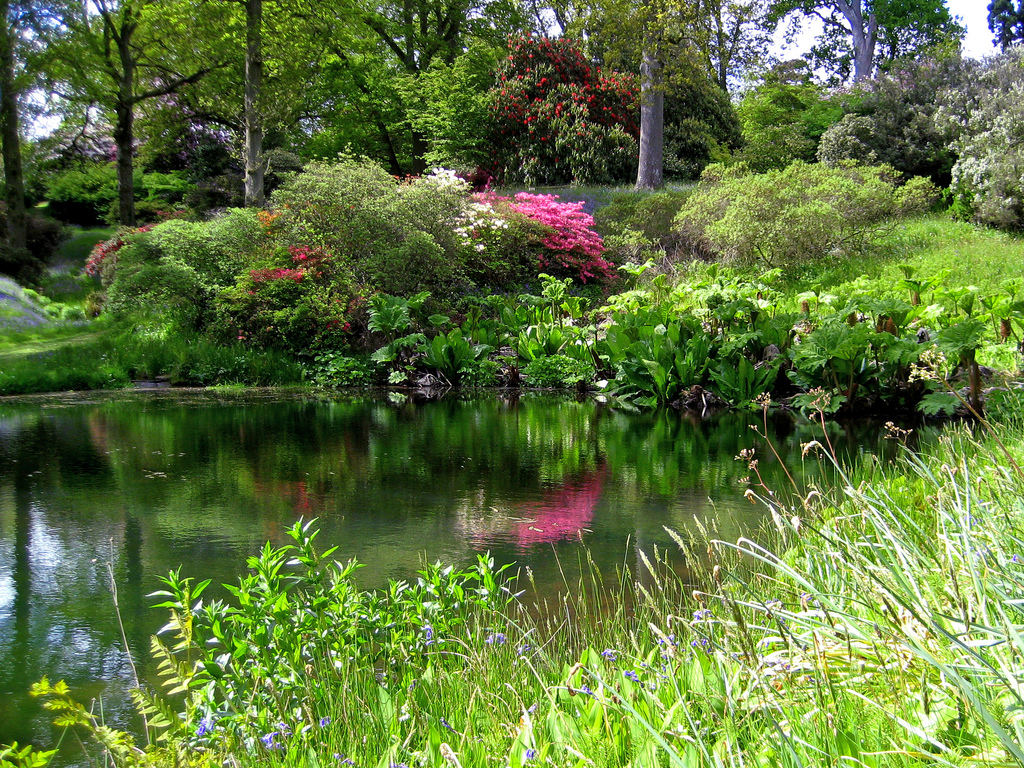 High Beeches Woodland & Water Garden, Sussex - Thu 29th April 2021 ...