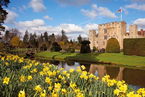 First Signs of Spring at Hever Castle, Kent - Wed 18th Feb 2026 ...