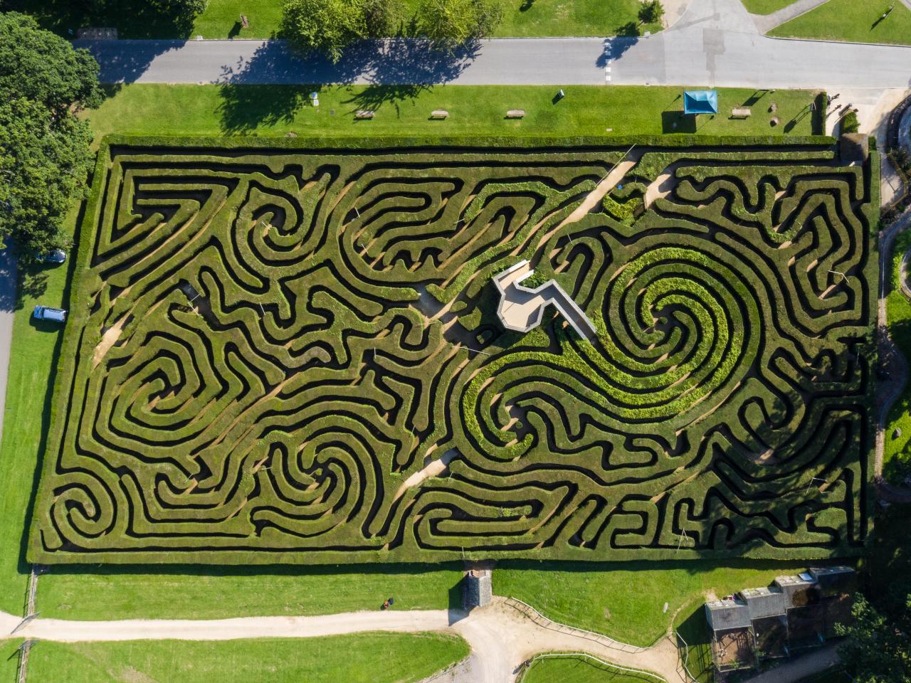 Longleat Safari Park - Fri 28th April 2023 - Highcliffe Coach Holidays ...