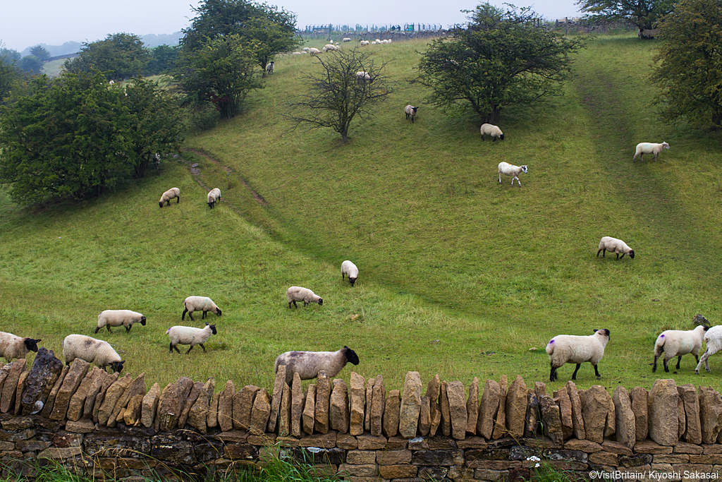 Cotswolds Mini Break - Sun 15th March 2026 - Highcliffe Coach Holidays ...