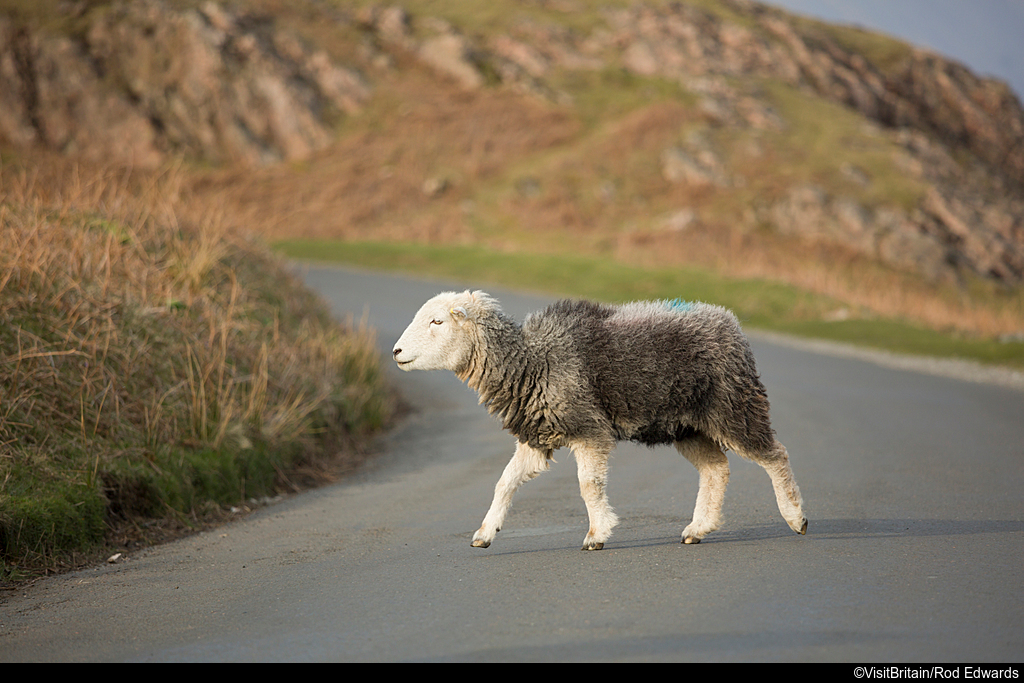 Blackpool & Lake District - Mon 21st June 2021 - Highcliffe Coach ...