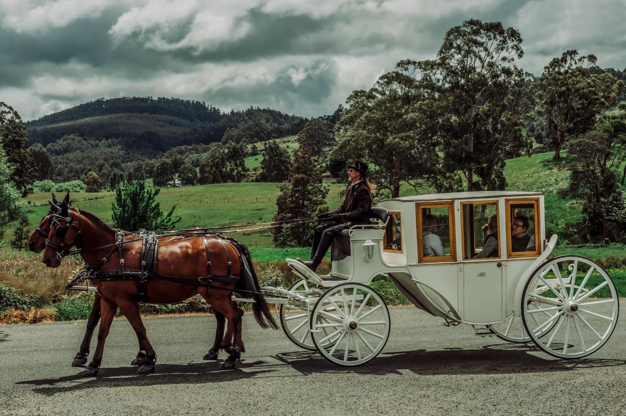 Castle Phoenix Carriage Tours