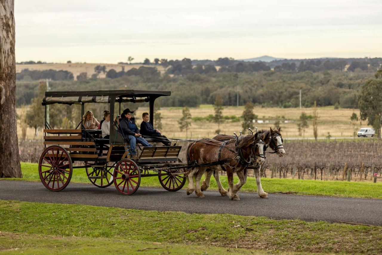 Hunter Valley Carriages 45 Minute Ride