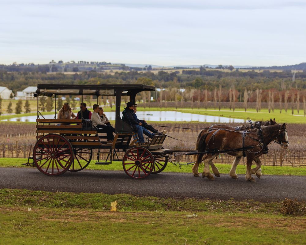 Hunter Valley Carriages 45 Minute Ride