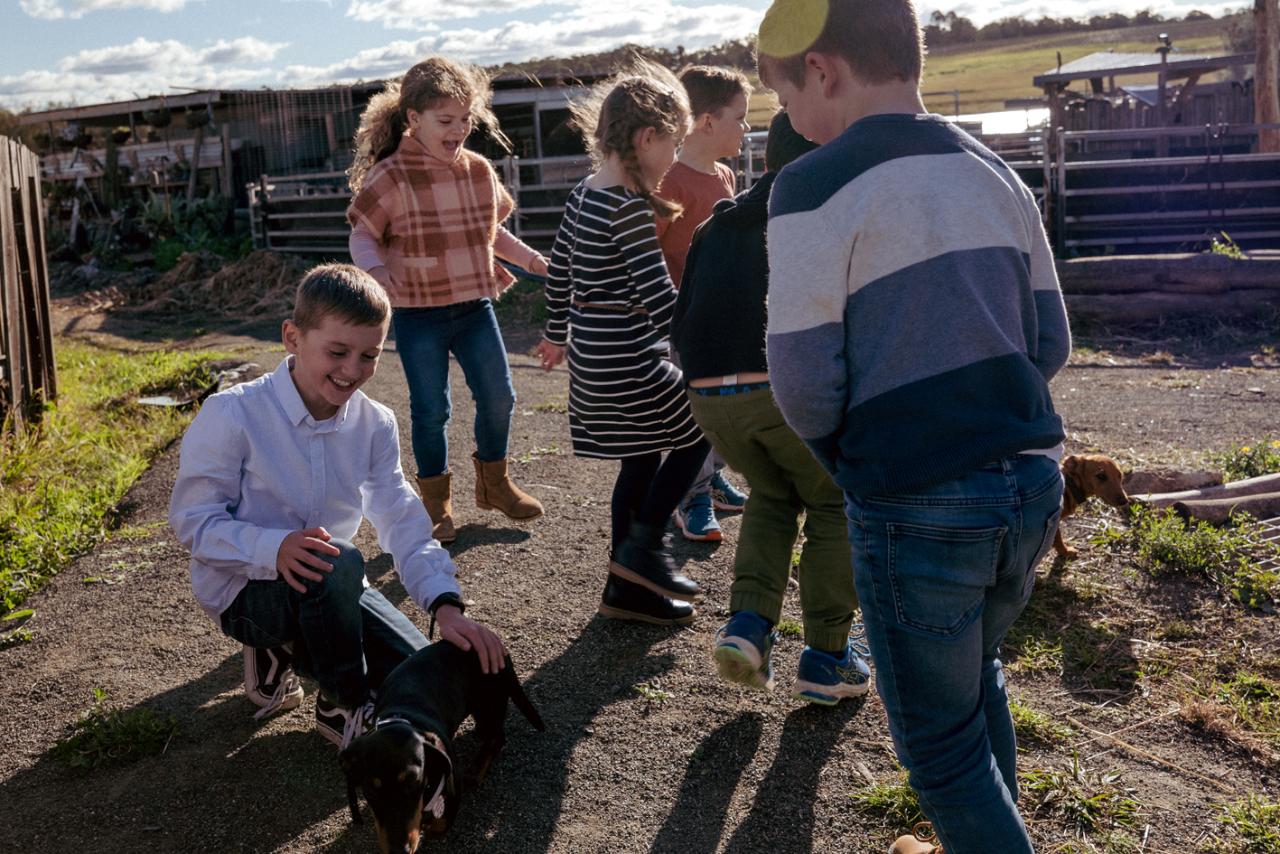 Farmyard Encounter - Self Guided Farm Tour - Turers - Australia