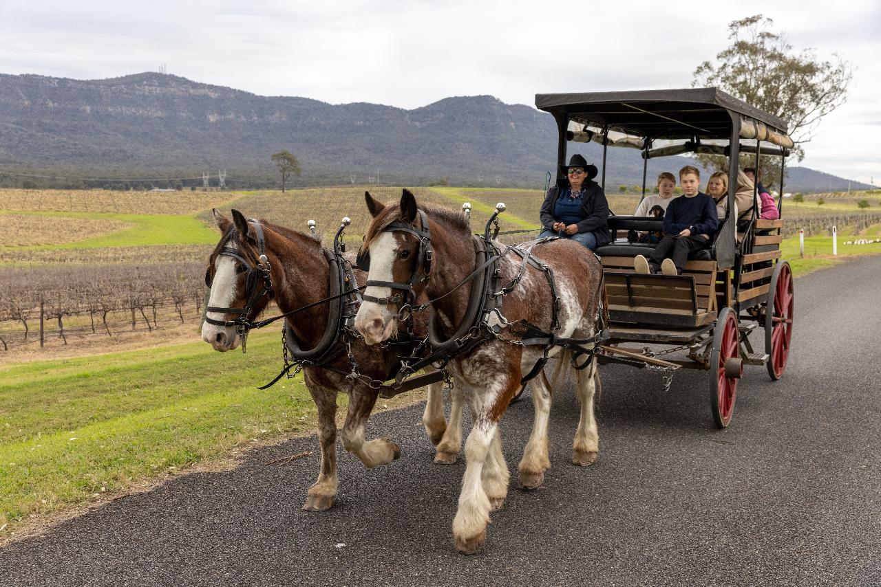 Hunter Valley Carriages 45 Minute Ride