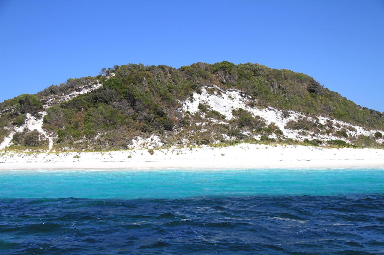 3 Hour Winter Whale Safari (May - Oct) around King George Sound ...