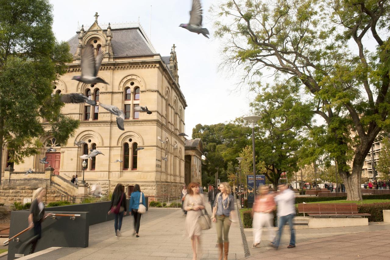 Meet, Greet and Adelaide City Sights - Turers - Australia