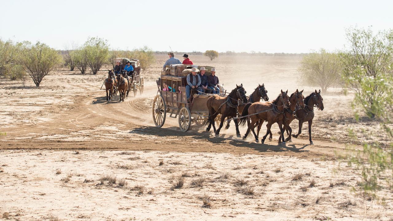 Outback Pioneers Cobb & Co Stagecoach Experience
