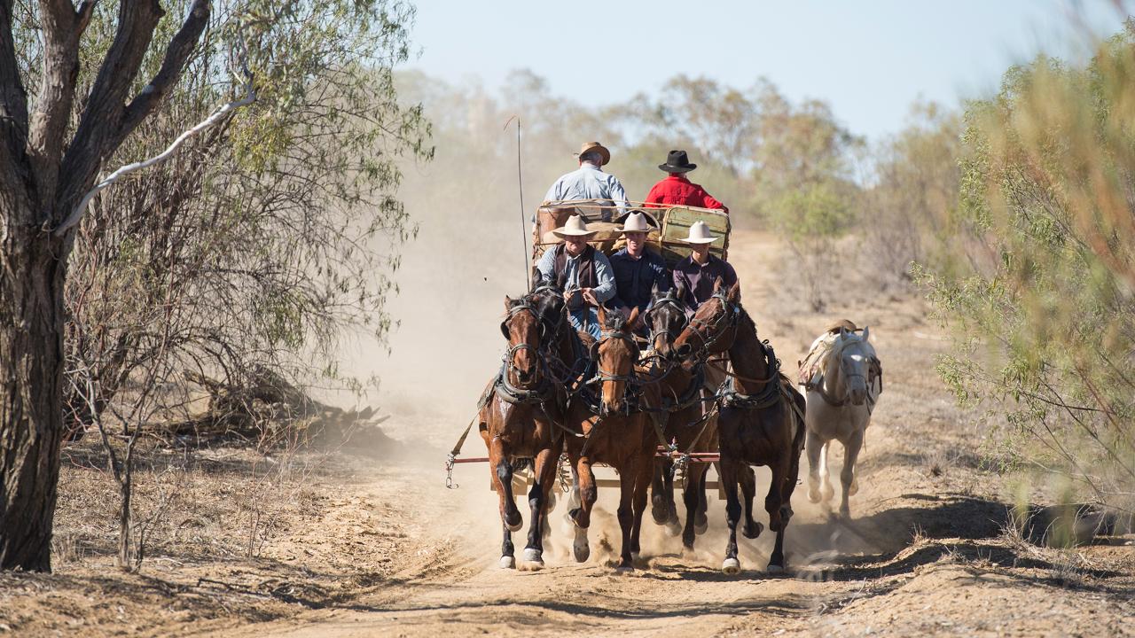 Outback Pioneers Cobb & Co Stagecoach Experience