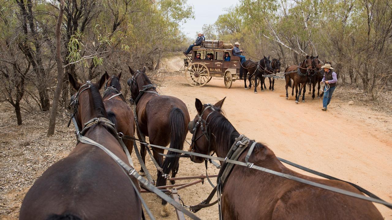 Outback Pioneers Cobb & Co Stagecoach Experience