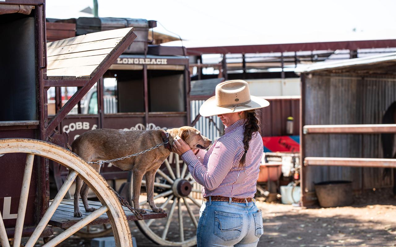 Outback Pioneers Cobb & Co Stagecoach Experience