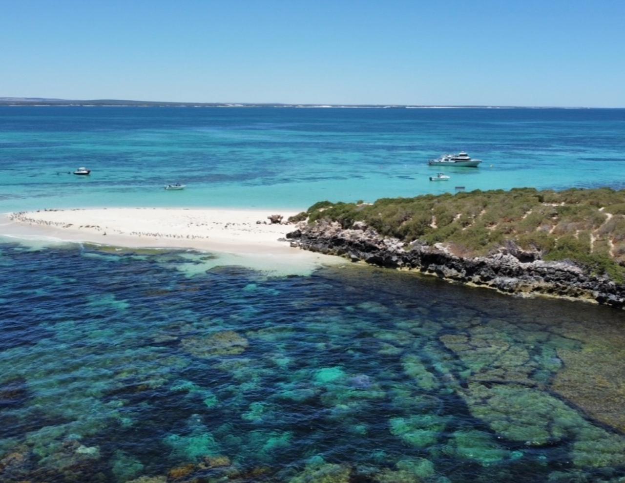 Jurien Bay Marine Park Experience