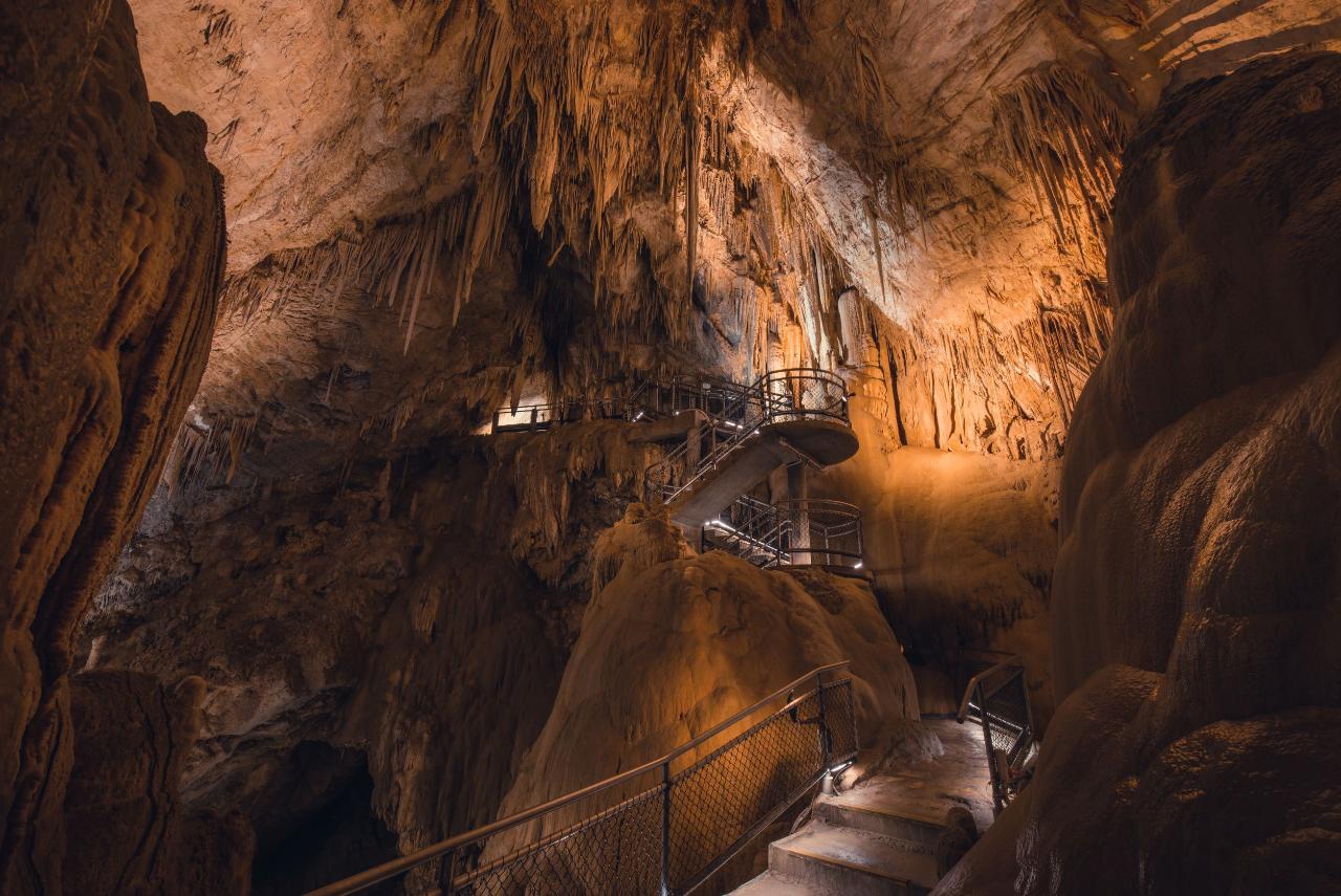 Guided day tour to Hastings Cave and Tahune Adventures