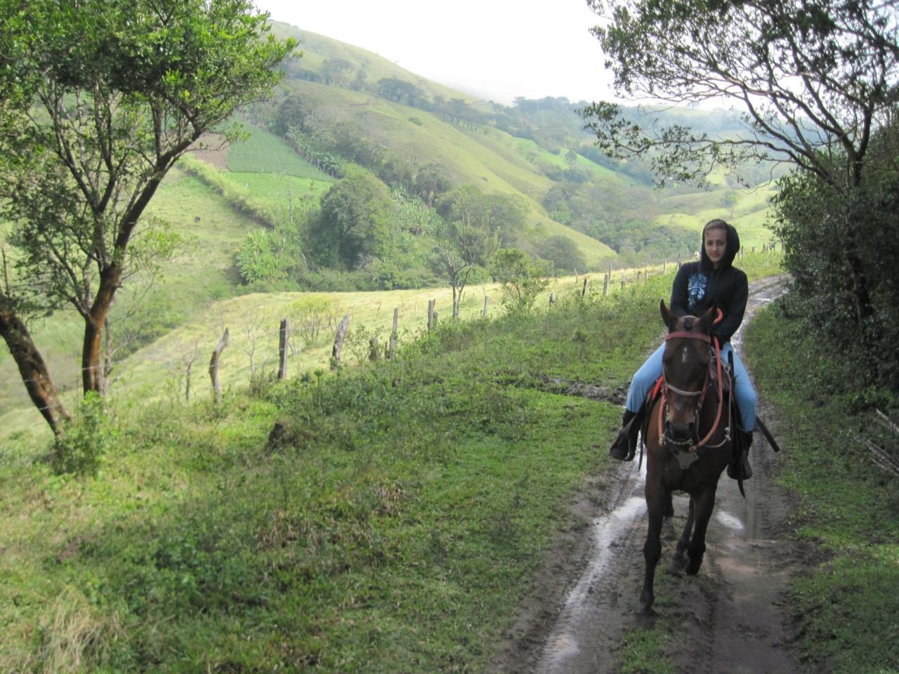 Horse Trek Monteverde-Waterfall Ride & Hike Tour Full Day - Camino ...