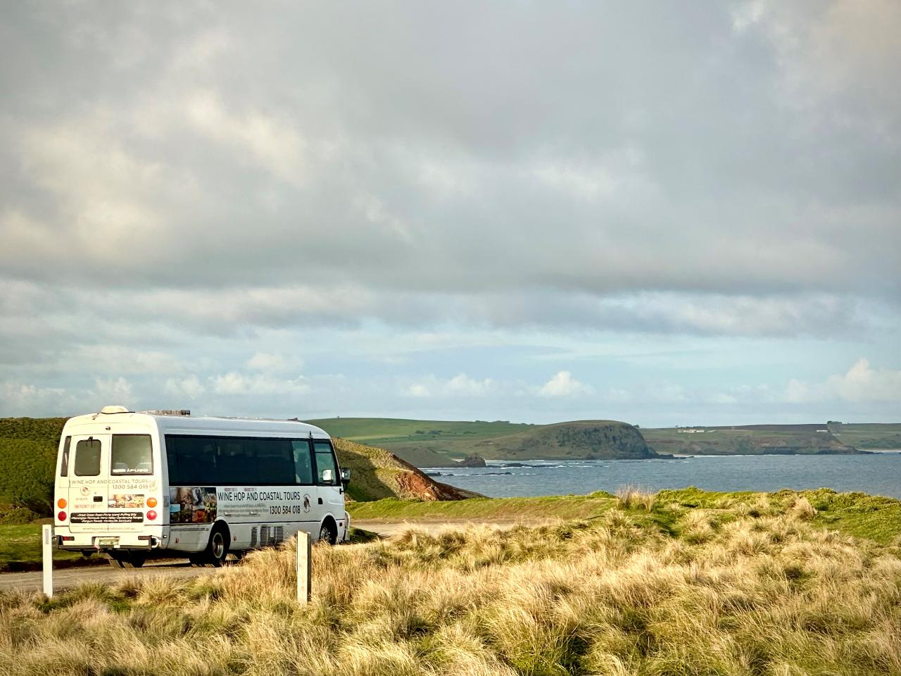 Puffing Billy And Phillip Island Wildlife Bus Tour
