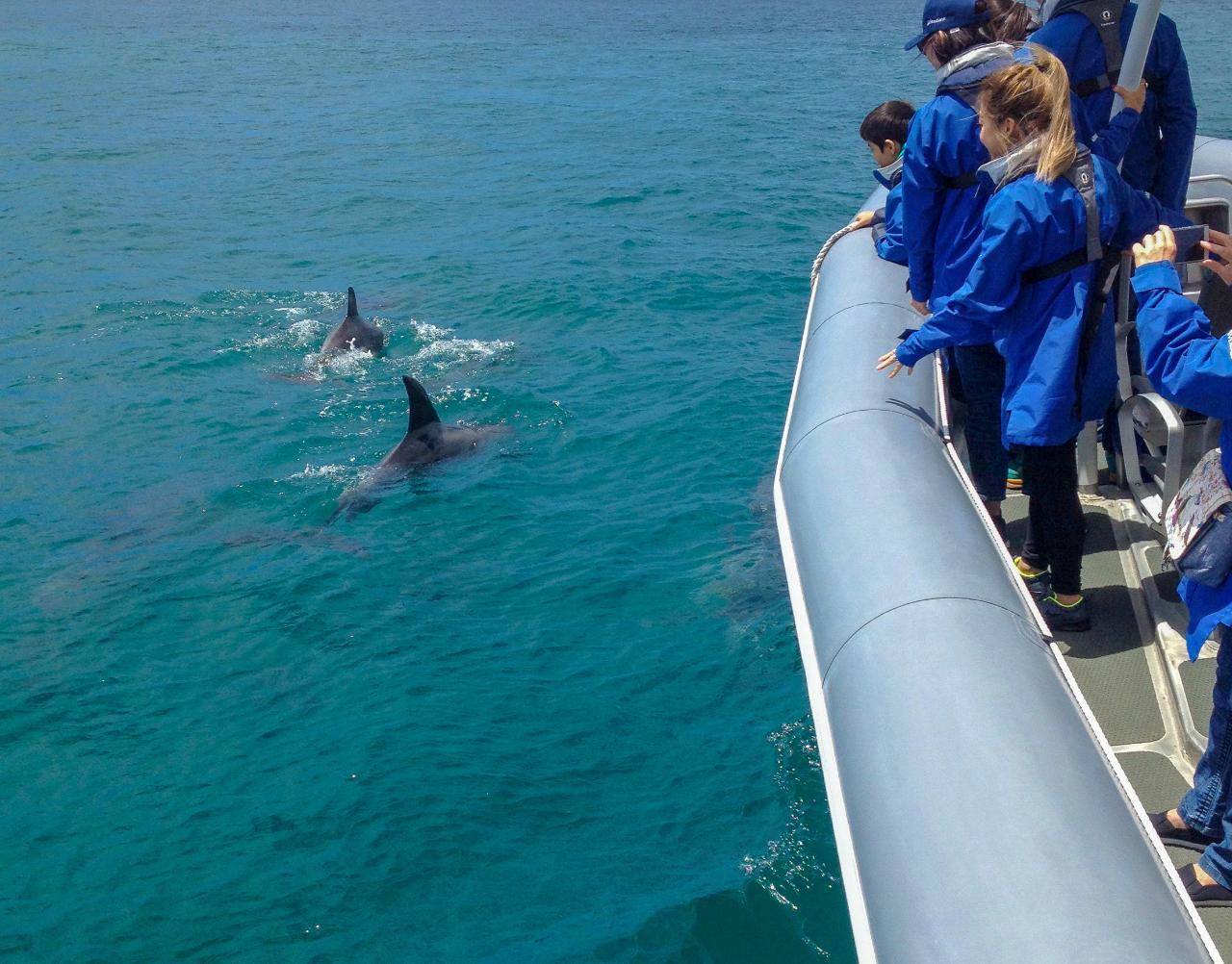 Ocean Adventure Cruise