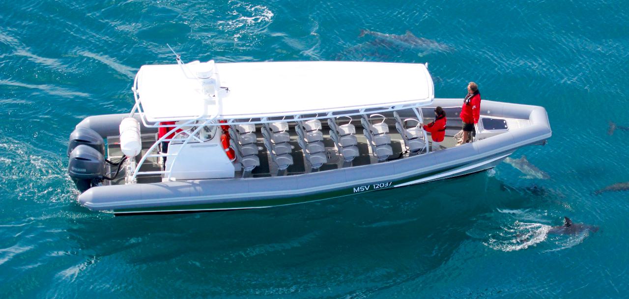 Ocean Adventure Cruise